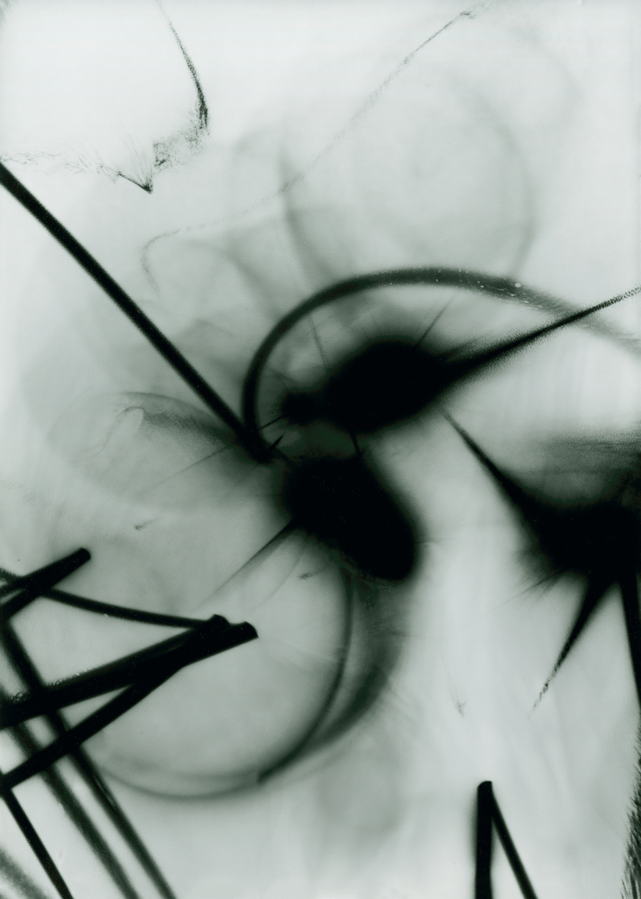 Voice of Matter | Exhibitions